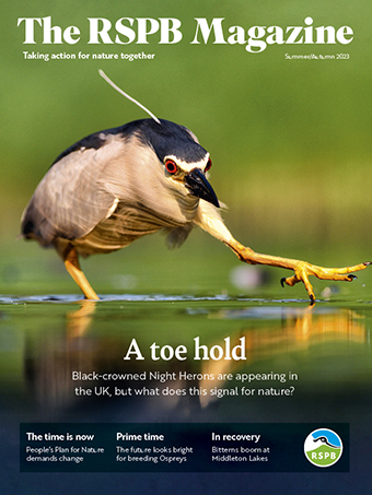 The RSPB Magazine - ABC - Delivering a valued stamp of trust - ABC UK
